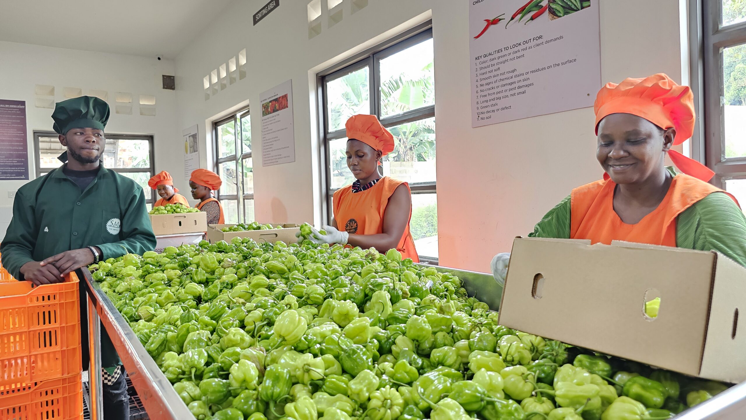 SMimpex – Fruits , Vegetables Imports and Exports