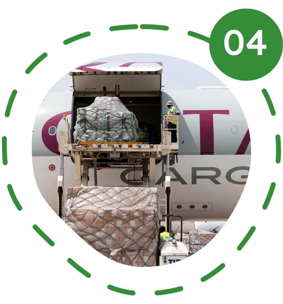 SMimpex – Fruits , Vegetables Imports and Exports